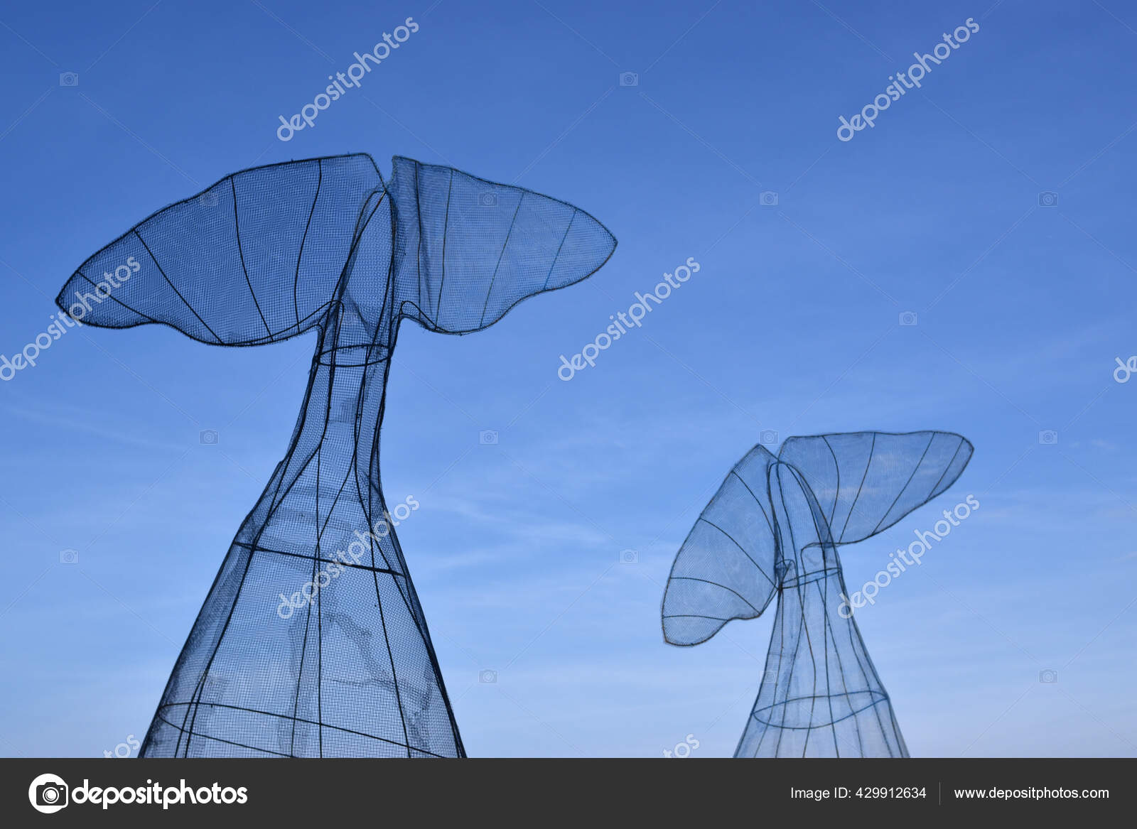 Marine Structure Shape Fish Tail — Stock Photo © EcoPimStudio #429912634