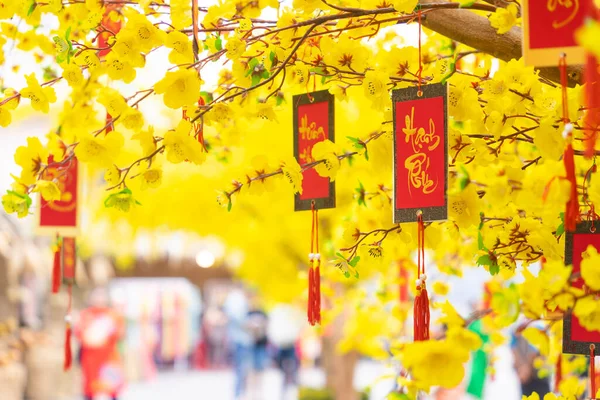 Pao tree Stock Photos, Royalty Free Pao tree Images | Depositphotos