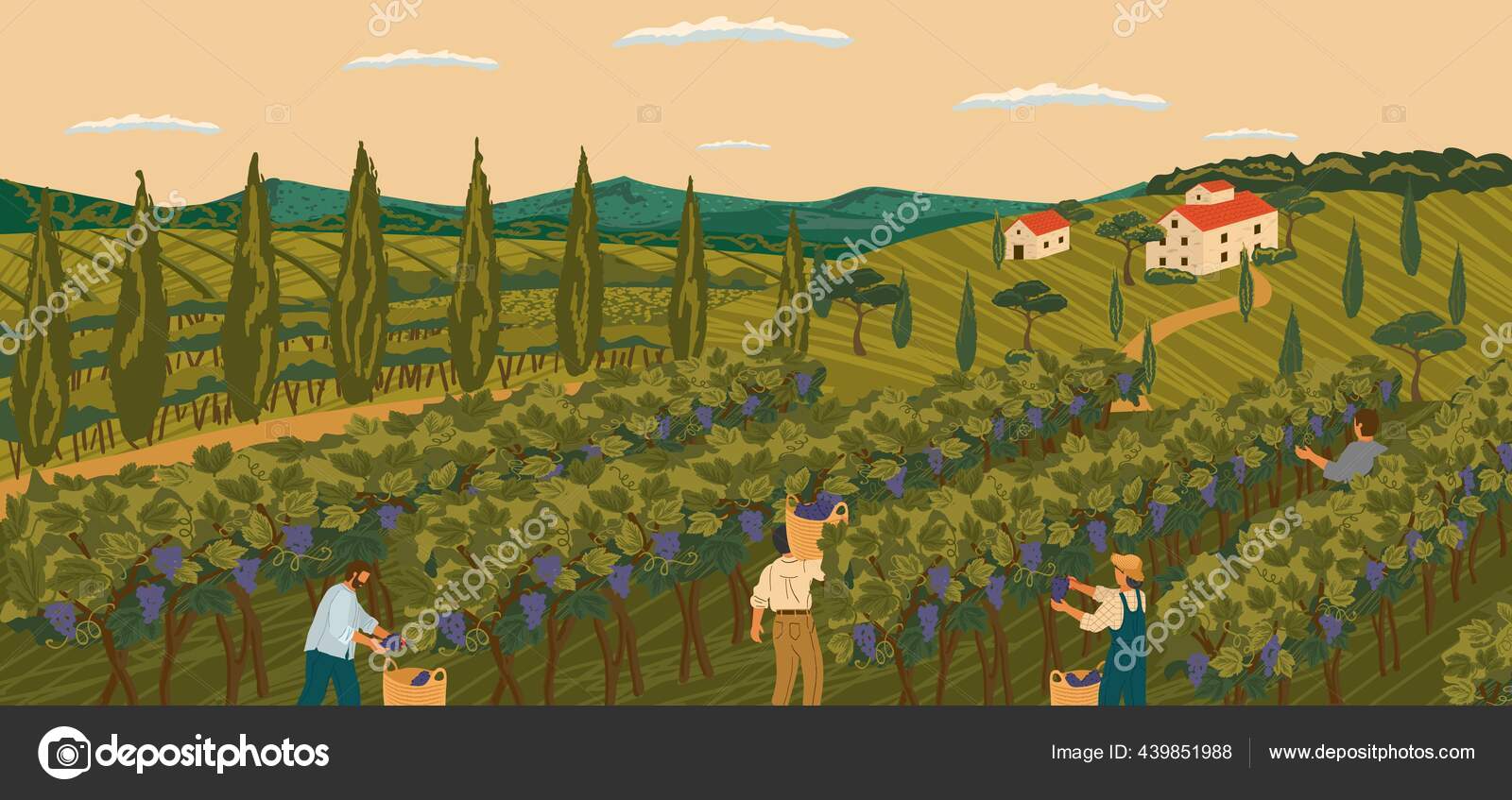 Vineyard landscape with grape tree field and winery villa on background. Hand draw vector ...