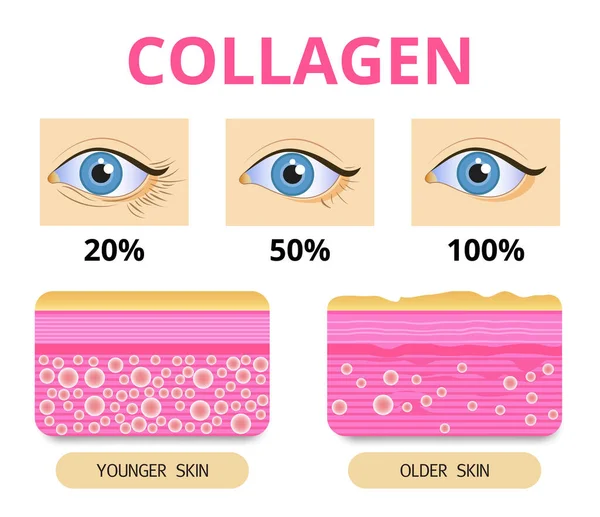 Collagen Protection Skin Vector Stock Vector by ©Chingcg 389167916