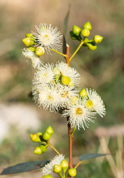 Hot zone Images - Search Images on Everypixel