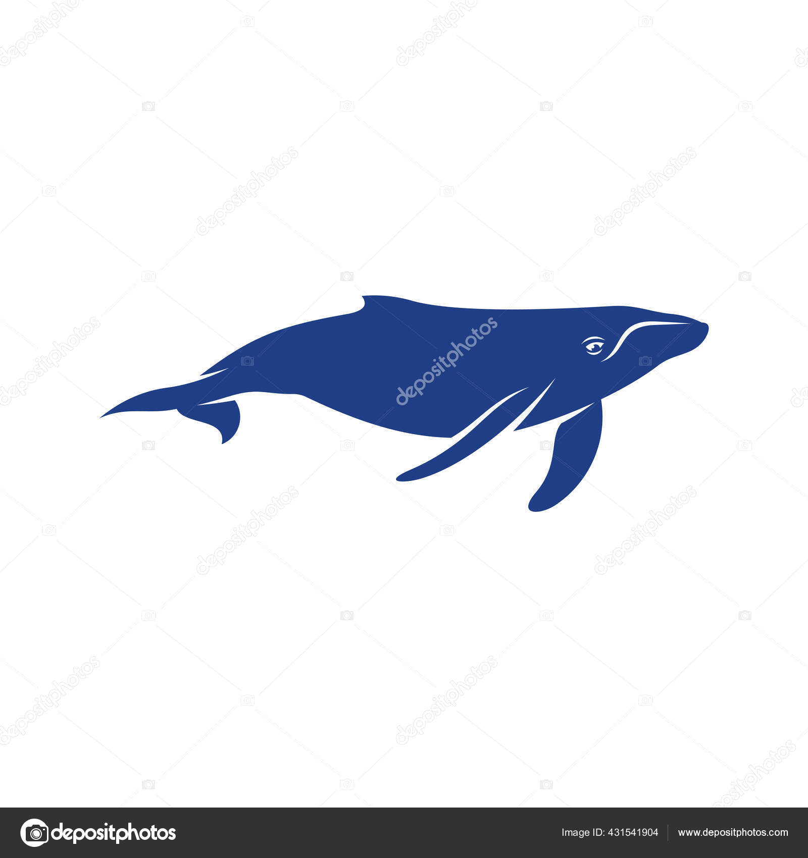 Vector Diseño Ballena Plantilla Ilustración Ballena Creativa Vector de ...