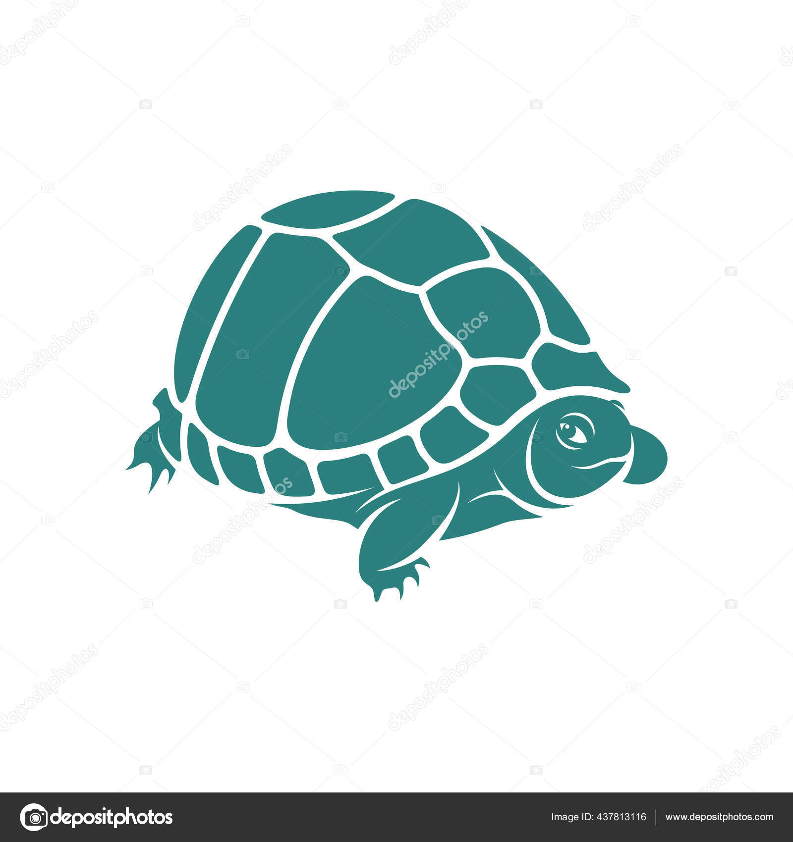 Turtle Design Vector Illustration Creative Turtle Logo Design Concepts ...