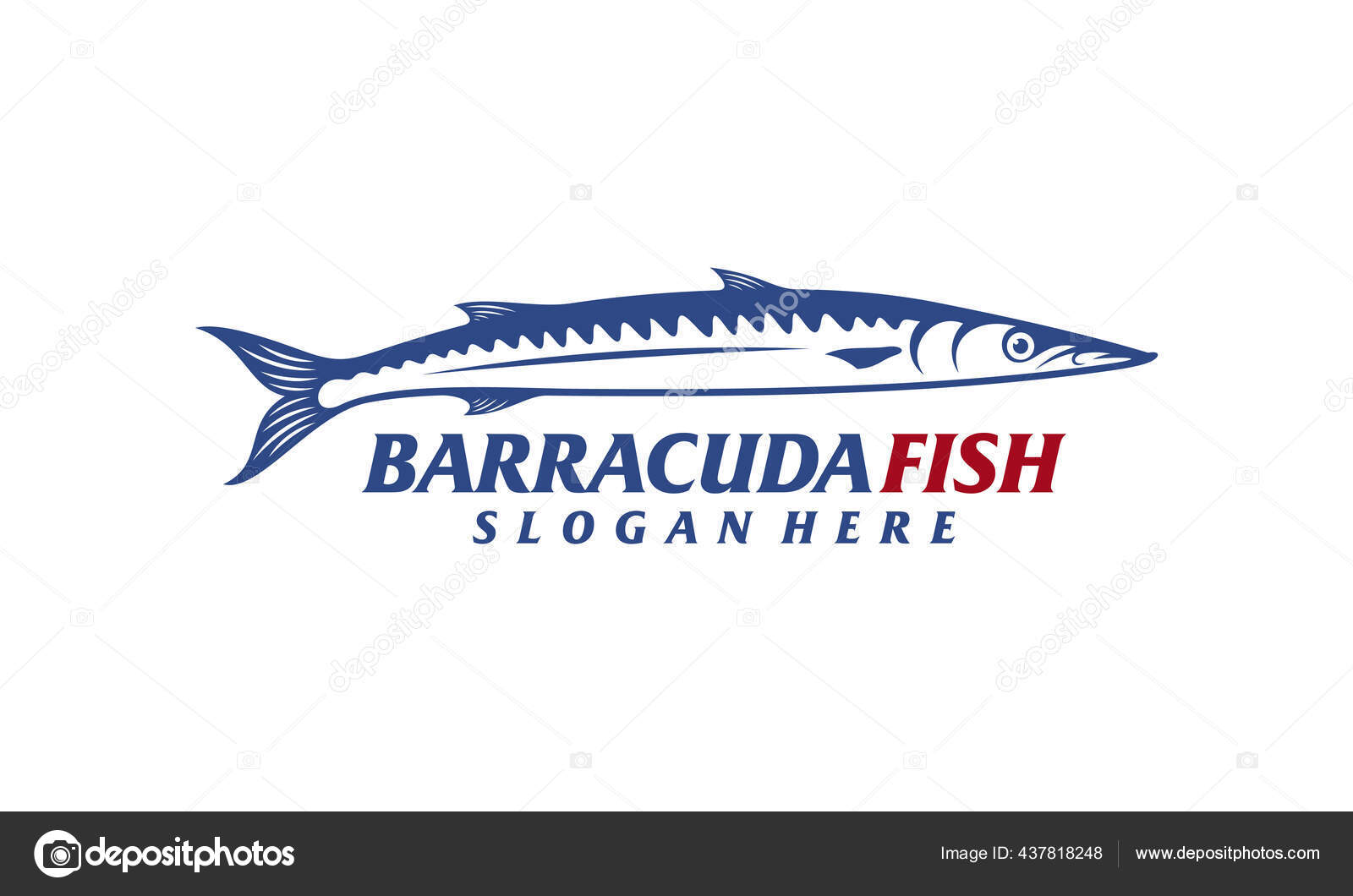 Barracuda Logo Vector