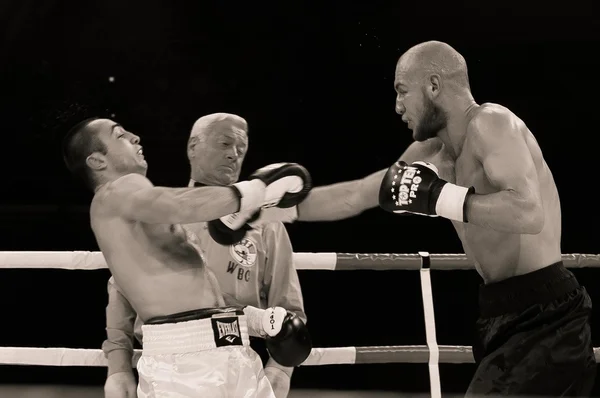 Boxing match Images - Search Images on Everypixel