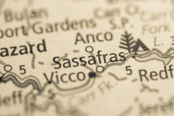 Sassafras Stock Photos, Royalty Free Sassafras Images | Depositphotos