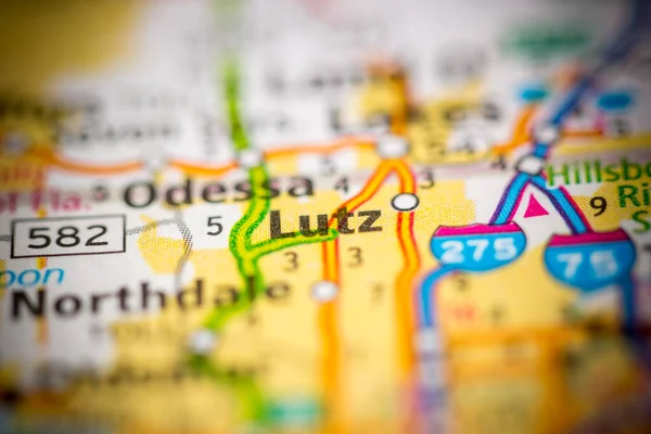 Lutz Stock Photos, Royalty Free Lutz Images | Depositphotos