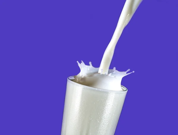 Dairy piping Stock Photos, Royalty Free Dairy piping Images | Depositphotos