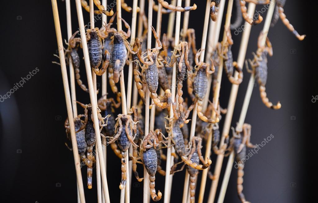 insectos fritos y escorpiones como aperitivo comida callejera en China ...