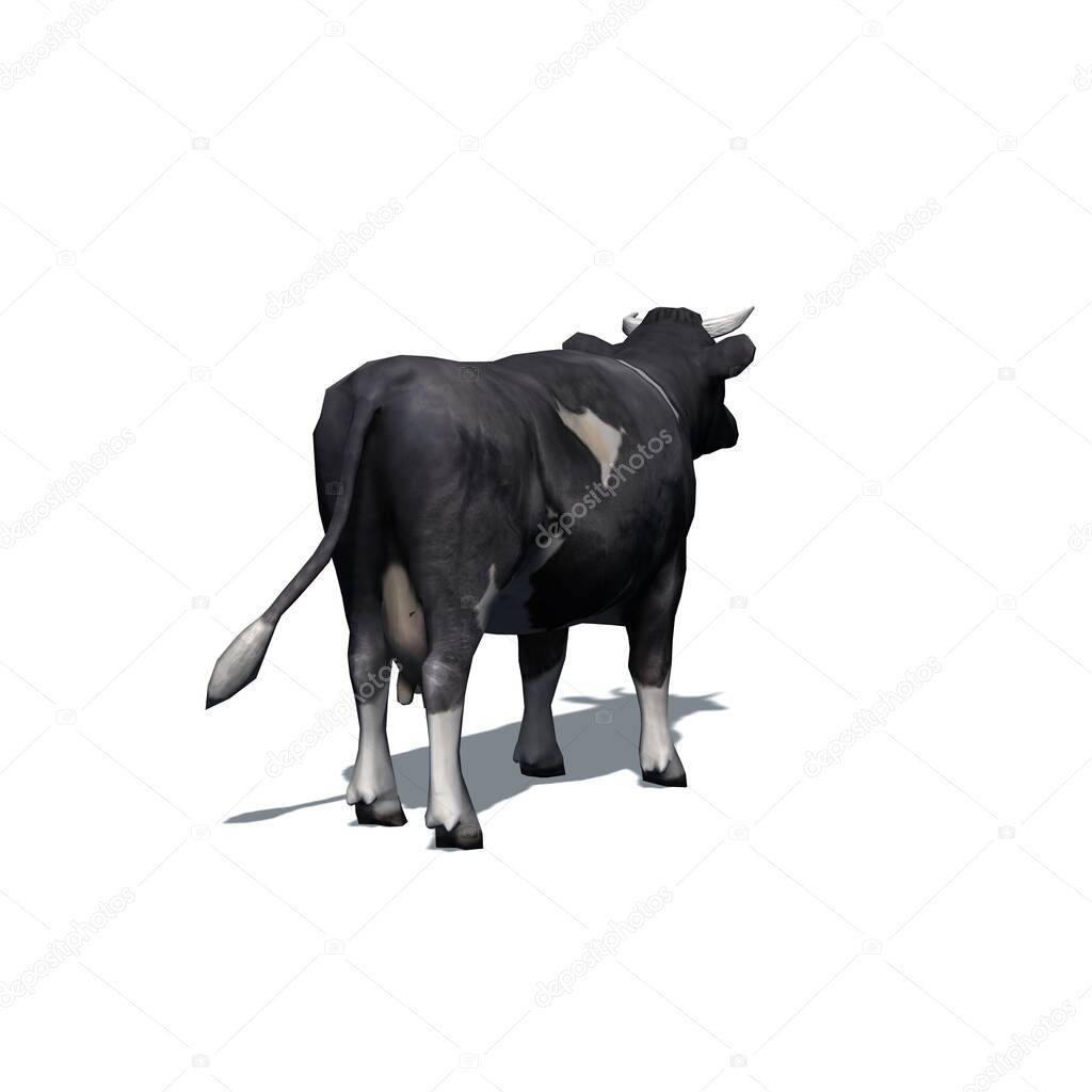 Animales de granja - vaca con sombra en el suelo - aislada sobre fondo ...