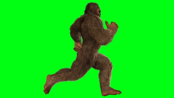 Photo: new of bigfoot | Scary Sasquatch bigfoot — Stock Photo ...
