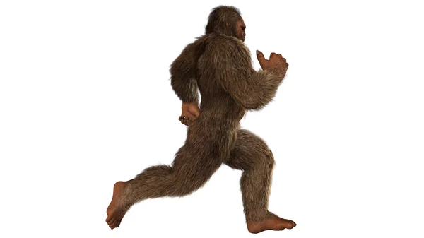 50 Scary sasquatch bigfoot Stock Photos, Scary sasquatch bigfoot Images ...
