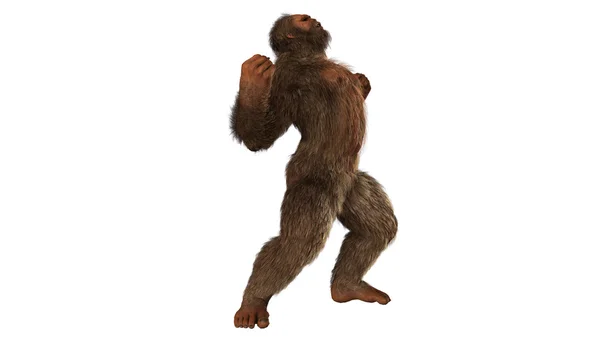 50 Scary sasquatch bigfoot Stock Photos, Scary sasquatch bigfoot Images ...