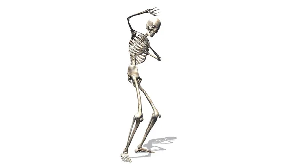 Crouching skeleton — Stock Photo © homeworks255 #10197963