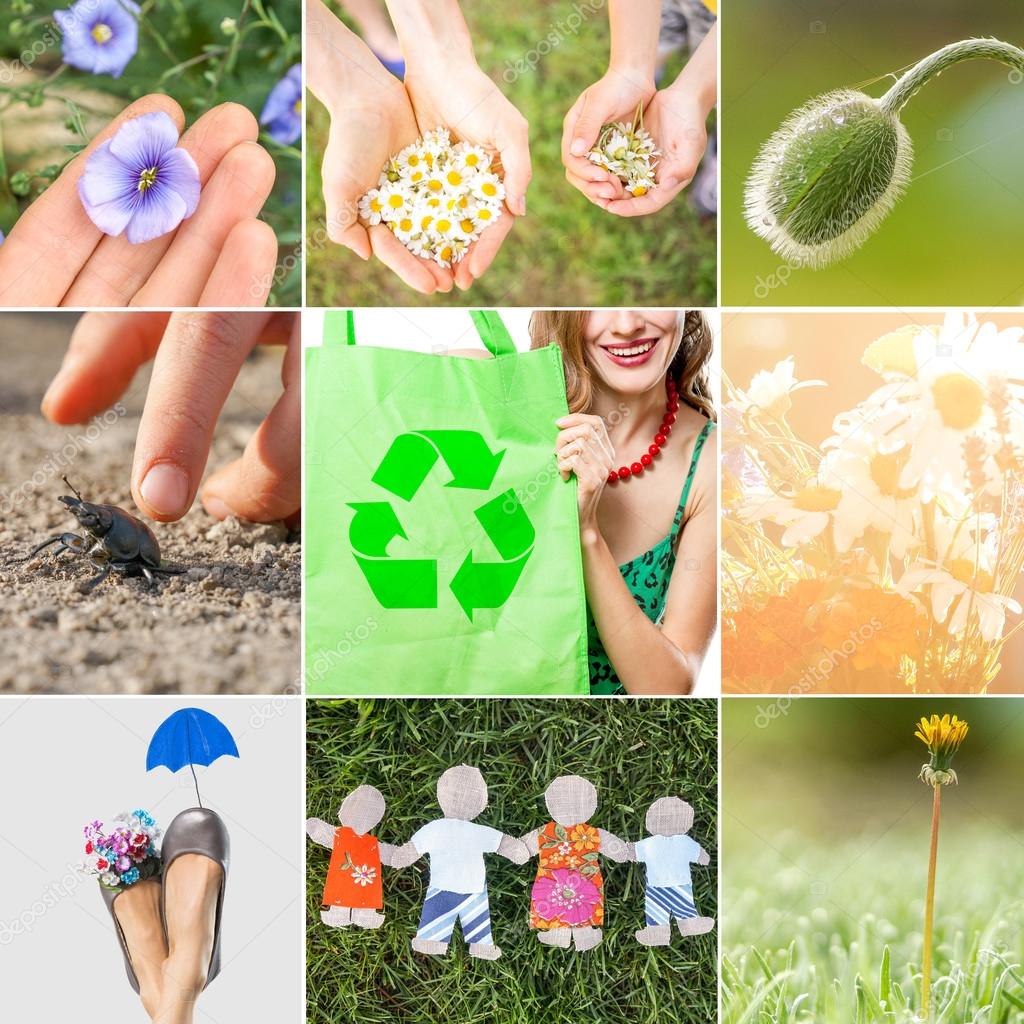 Eco friendly collage. Think green concept Stock Photo by ©HappyCity ...