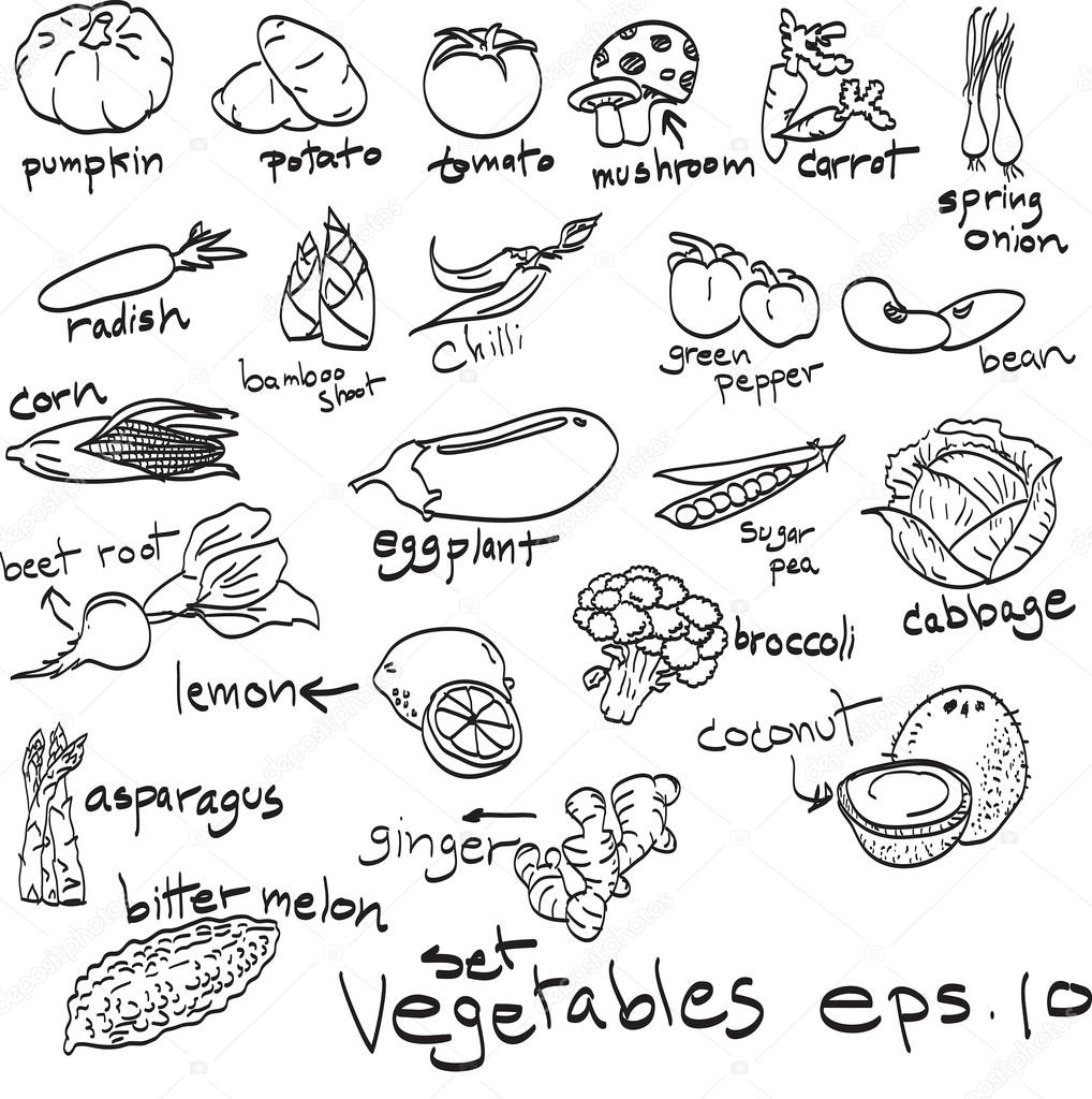 Conjunto dibujado a mano de verduras, garabatos Vector de stock por ©a3701027d 53973387