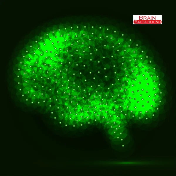 Neon brain. Vector illustration. Eps 10 Stock Vector Image by ...