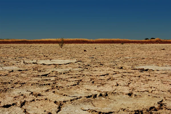 Climas secos fotos de stock, imágenes de Climas secos sin royalties ...