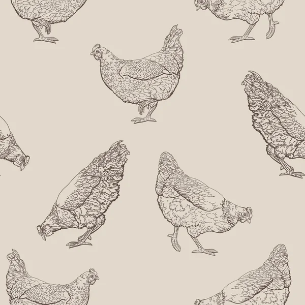 Fresh chicken Vector Art Stock Images | Depositphotos