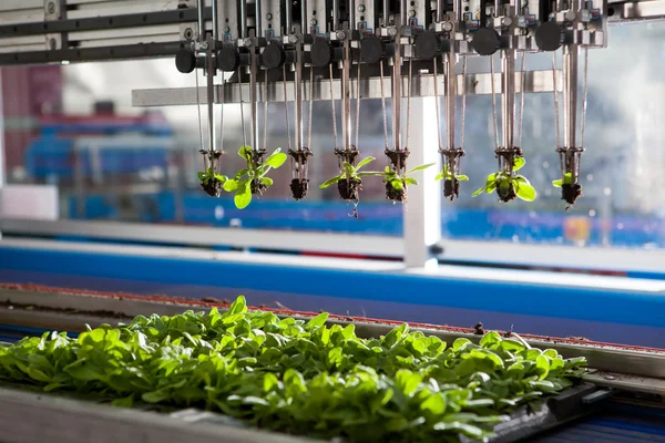 Bio mechanical Stock Photos, Royalty Free Bio mechanical Images ...