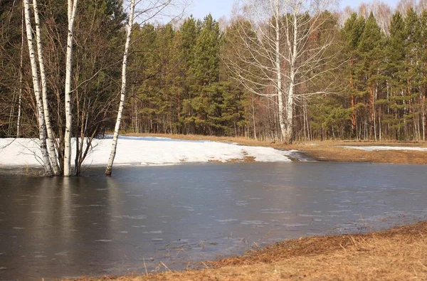 Russian spring creeks Stock Photos, Royalty Free Russian spring creeks ...