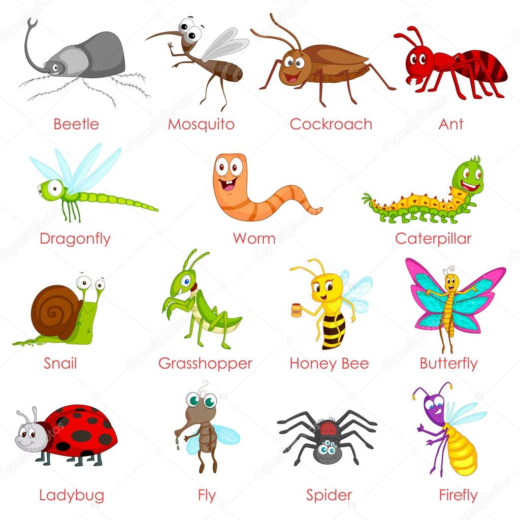 Diferente variedad de insectos Vector de stock #111427680 de ...