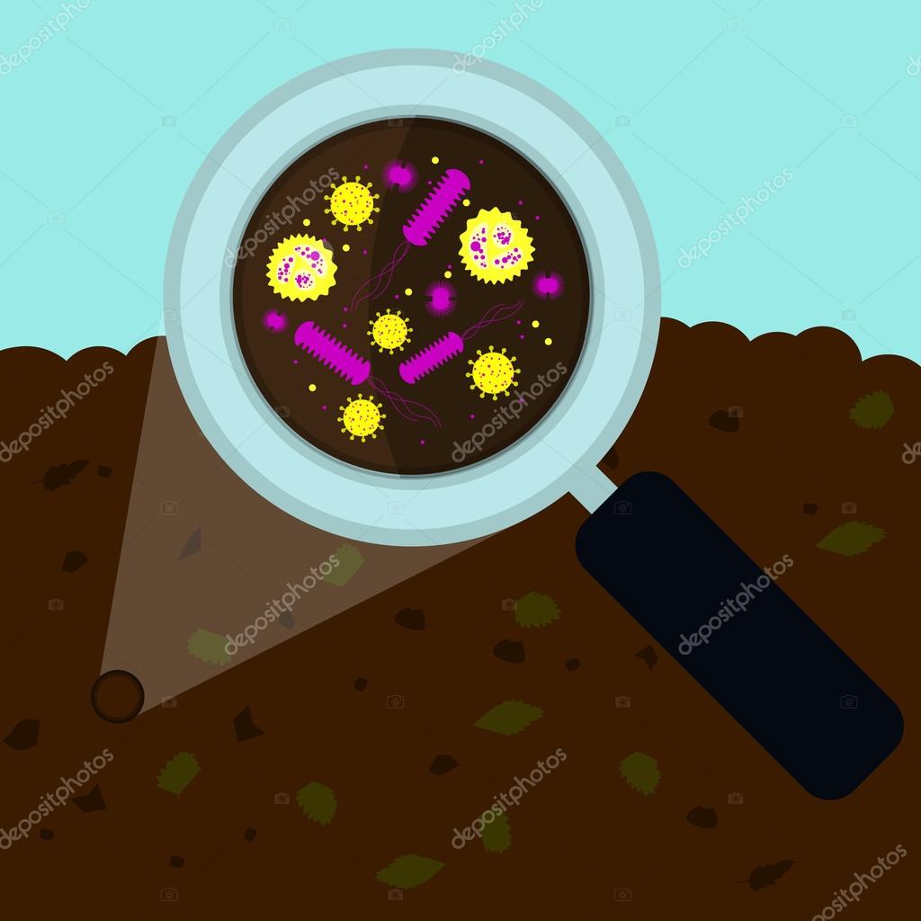 Lupa agrandamiento de bacterias 2022