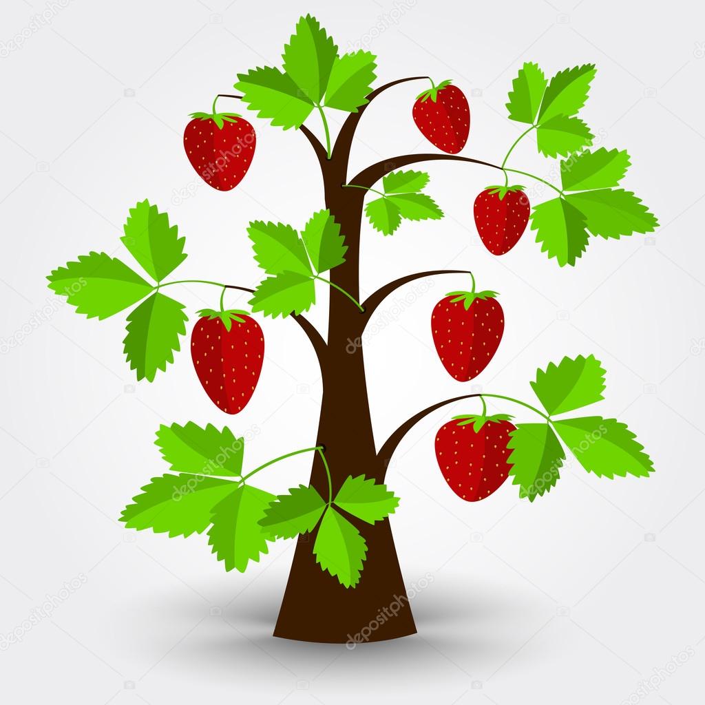 Strawberry tree — Stock Vector © drical #71973139