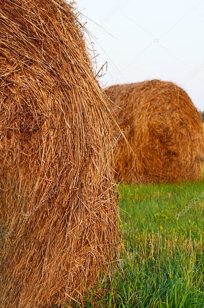 Haystack against the sky. Haymaking time. — Stock Photo © sveta ...