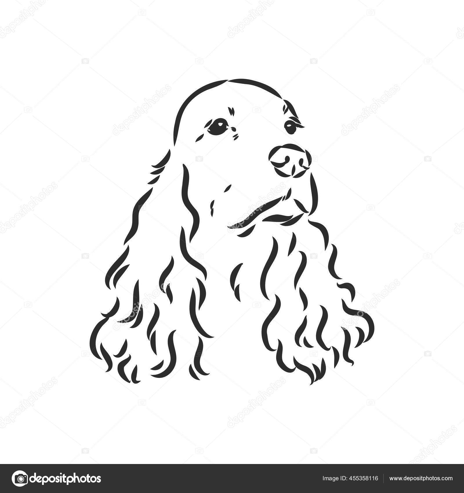 Hunderace Cocker Spaniel mundkurv, skitse vektor grafik sort og hvid ...