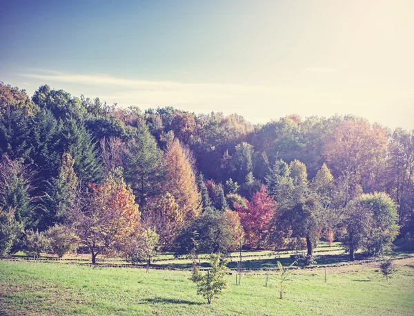 Retro nature Images - Search Images on Everypixel