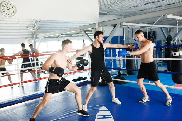 ᐈ Female pugilist stock photos, Royalty Free pugilist images | download ...