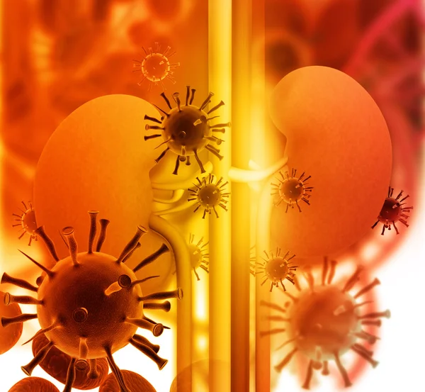 Infecciones urinarias images libres de droit, photos de Infecciones ...