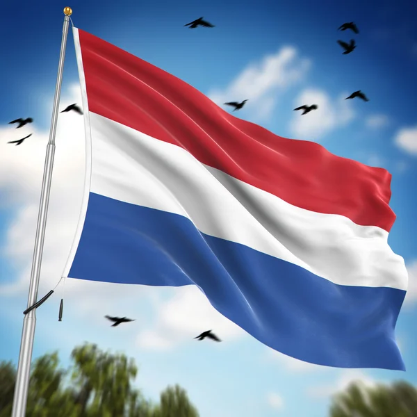 wapperende vlag van Nederland en Zwitserland — Stockfoto © Alexis84 ...