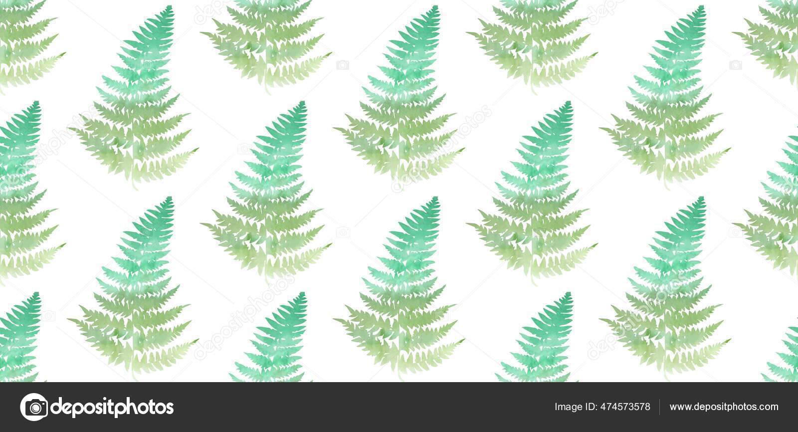 Seamless Pattern Watercolor Ferns Vector Illustration Stock Vector by ©nastyaaroma2011 474573578