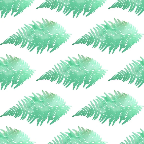 100,000 Florida everglades Vector Images | Depositphotos