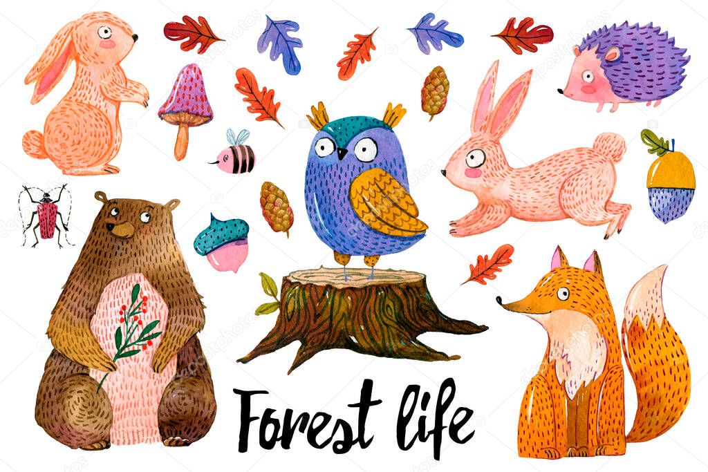 acuarela conjunto de animales y plantas del bosque en un estilo de ...