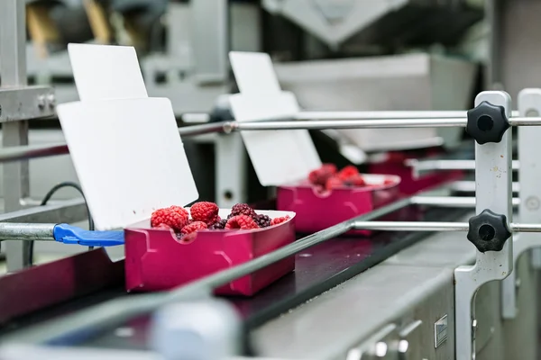 Frozen raspberry processing business - Stock Image - Everypixel