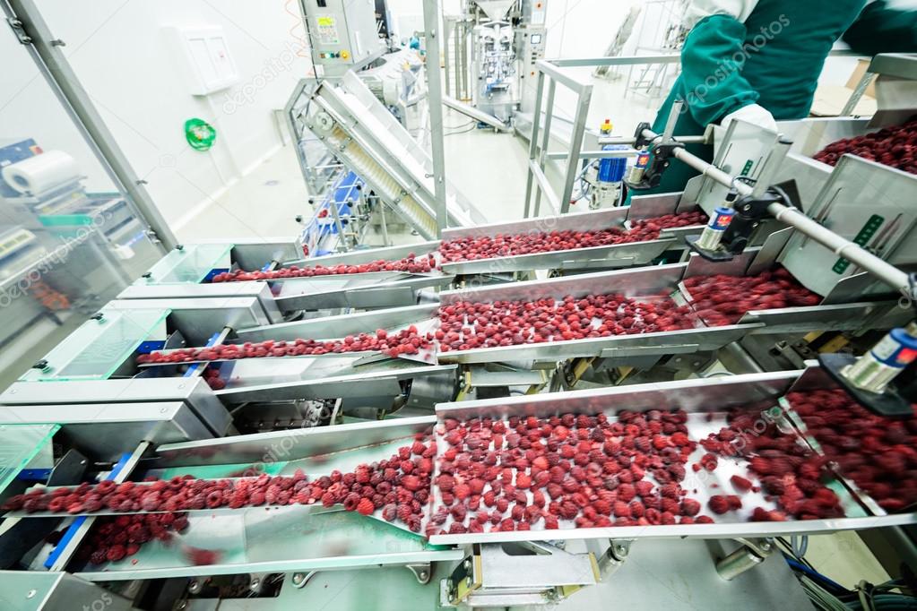 Frozen raspberry processing business Stock Photo by ©VladimirNenezic ...