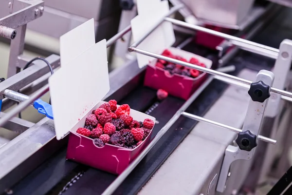 Frozen raspberry processing business - Stock Image - Everypixel