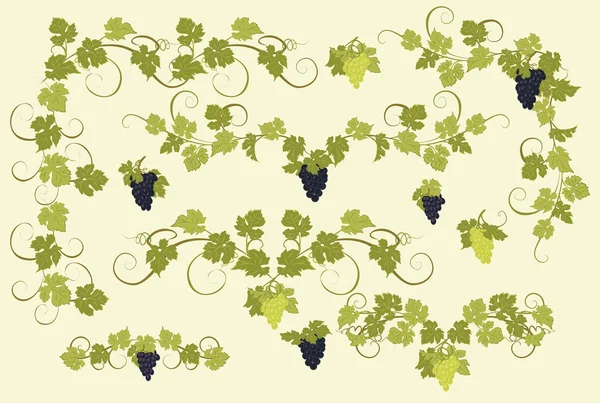 Design elements with bunches of grapes and vines in vintage style ...