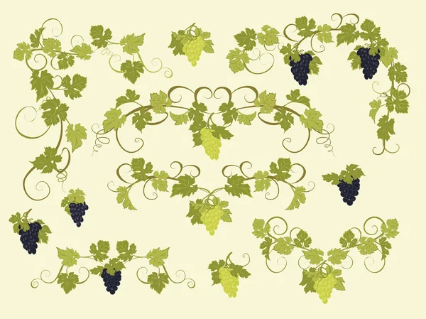Design elements with bunches of grapes and vines in vintage style ...