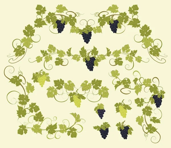 Grapevine Vector Art Stock Images | Depositphotos