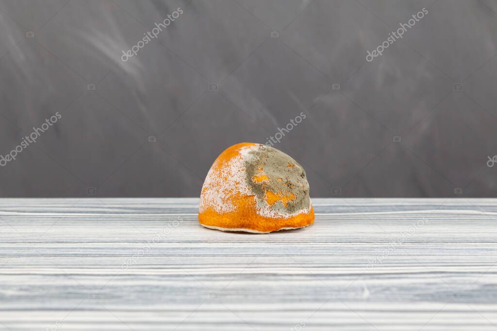 Medio limón podrido con moho. Enfoque selectivo, espacio de copia ...