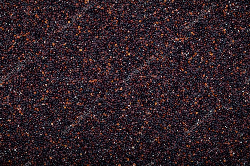 Semillas peruanas de quinua negra, primer plano. Vista superior. Cereal ...