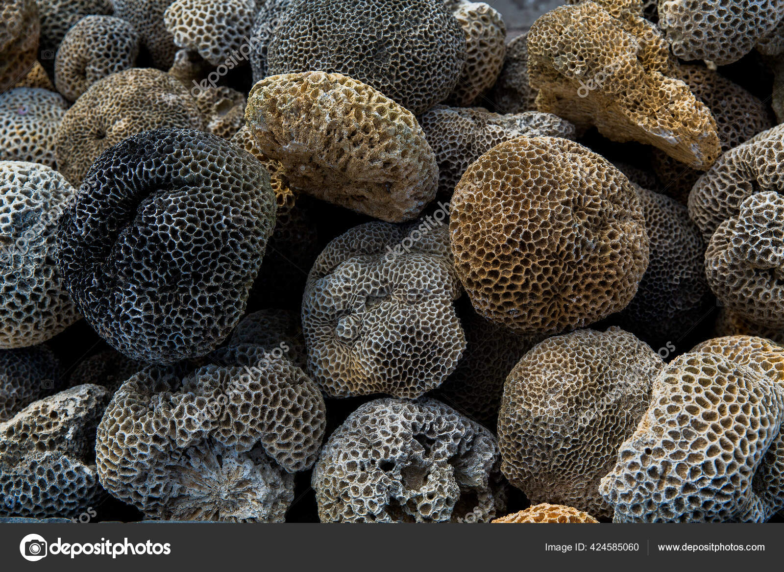 Texture Ancient Chinese Stone Wall Made Stones Corals Seashells Stock ...