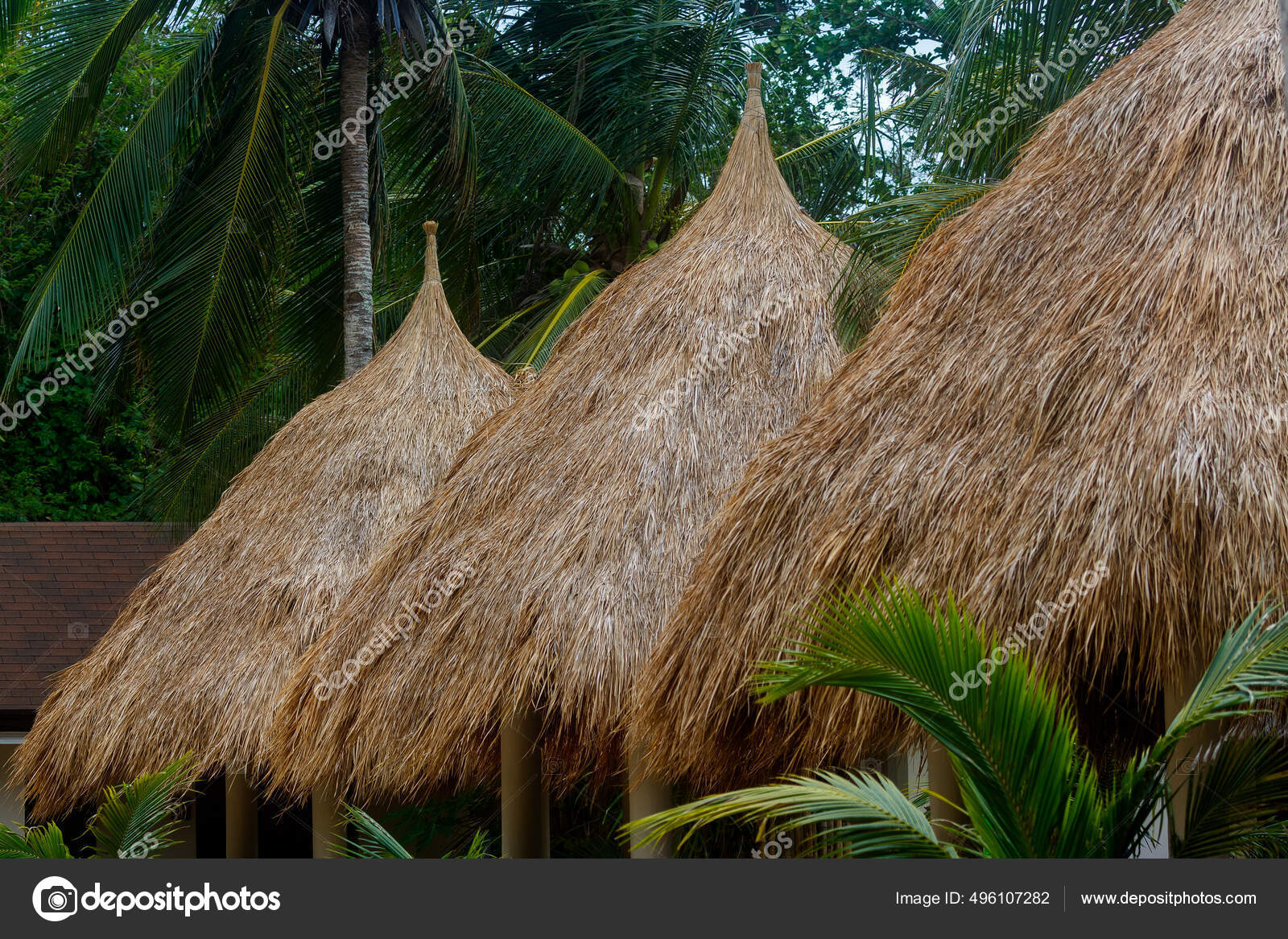 Coconut Tree Leaves Roof