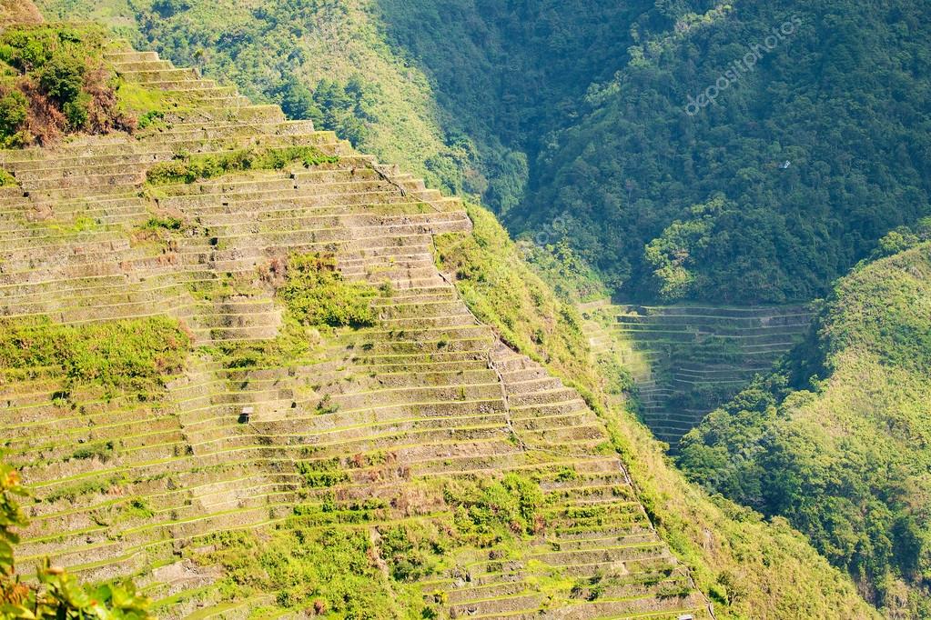 Rice terraces in the Philippines. Rice cultivation in the North — Stock ...