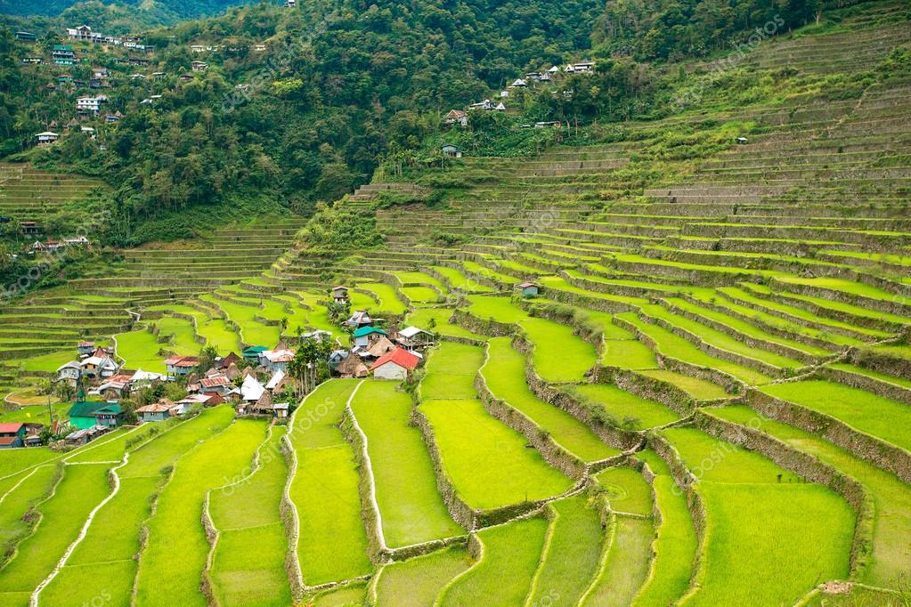 Rice terraces in the Philippines. The village is in a valley amo ...