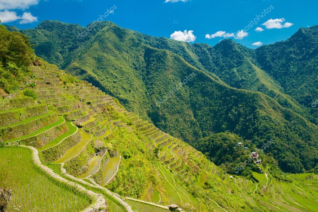 Rice terraces in the Philippines. The village is in a valley amo Stock ...